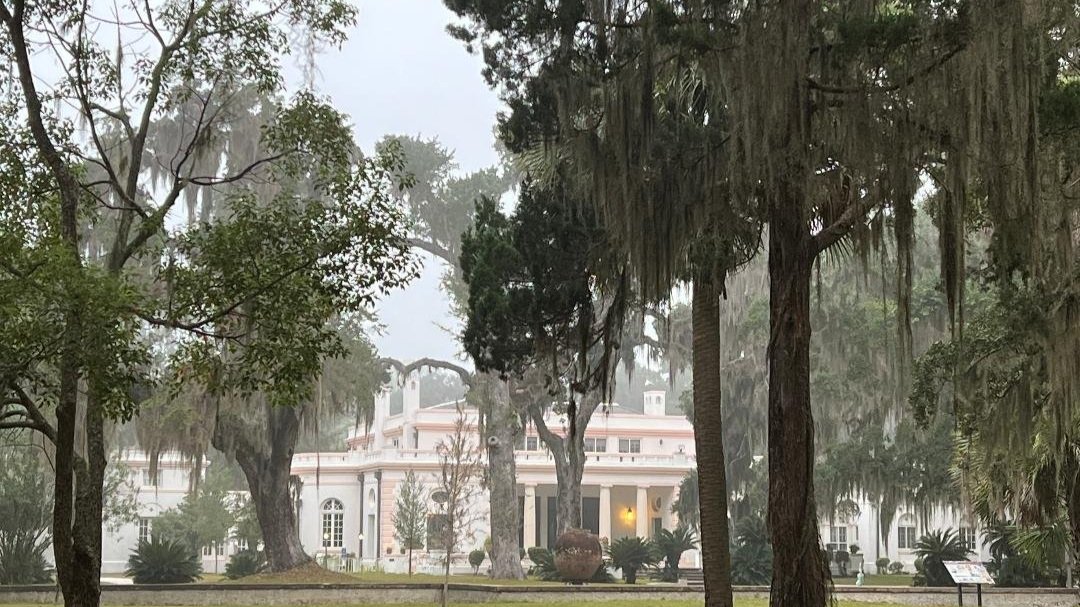 Explore Sapelo