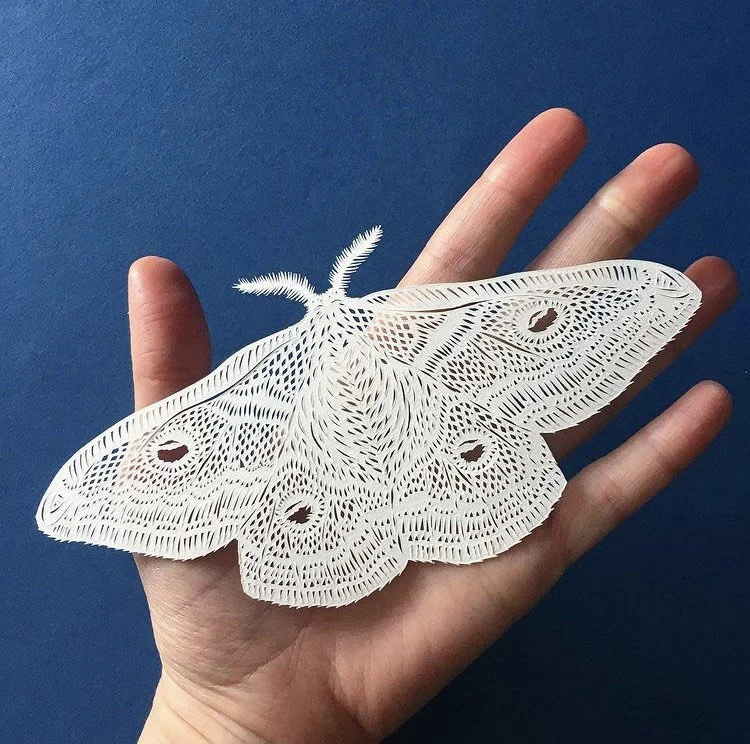 Paper Art Porfolio — Ellie Chaney | Artist & Creativity Coach