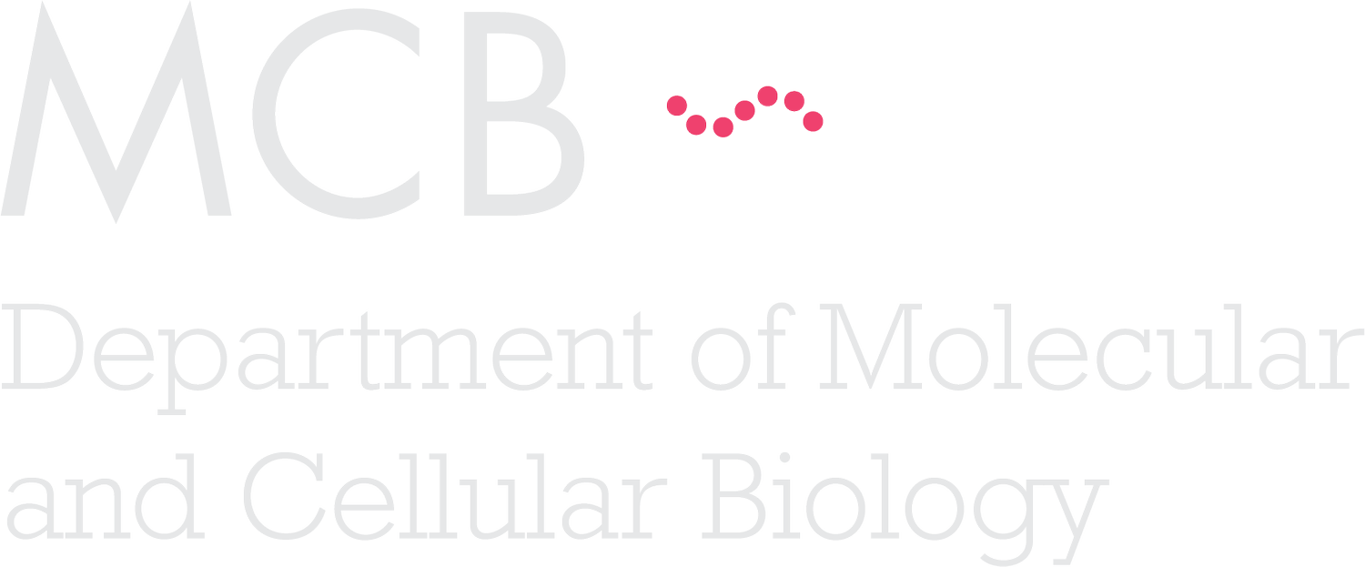 Chung Lab