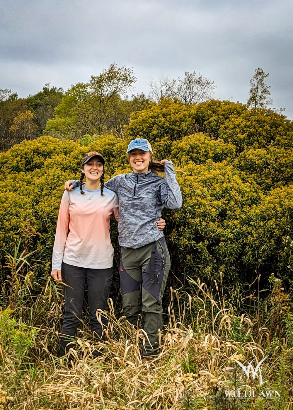 Bird Habitat and Hedgerow Guide — WildLawn