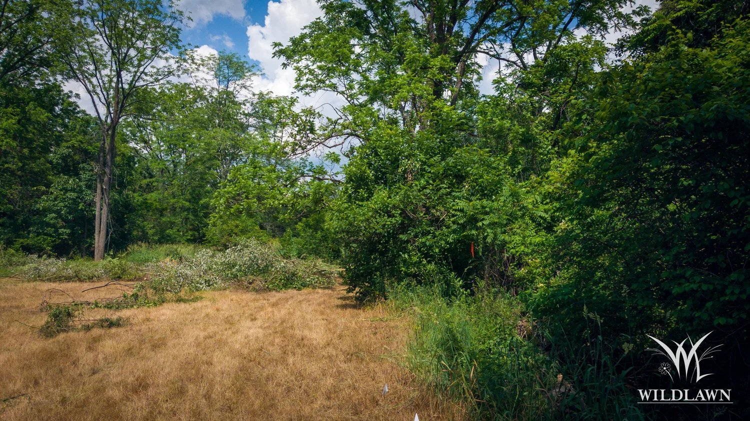 DCNR Lawn Conversion — WildLawn