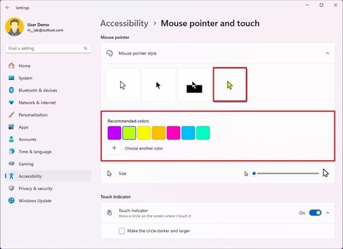 How To Customize Mouse Settings In Windows 11 — The PC Guy.ca
