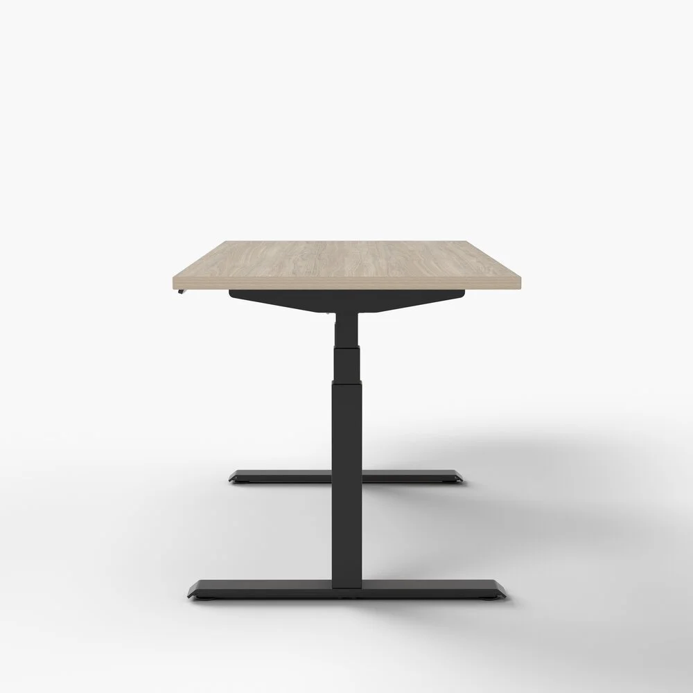 Customizable Collections — Envire