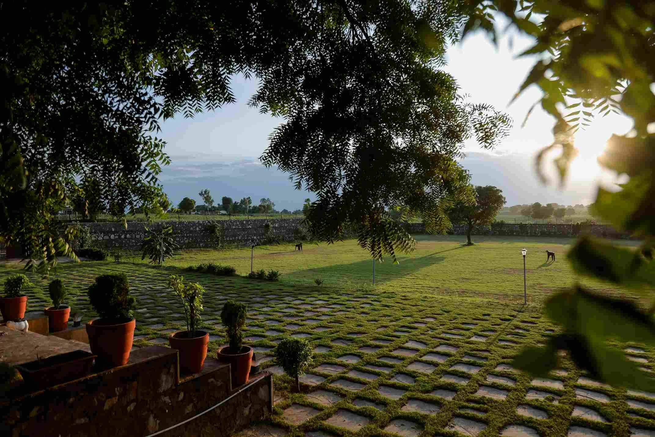 The Rustic Villa -A Private Pool Villa for Party in Jaipur