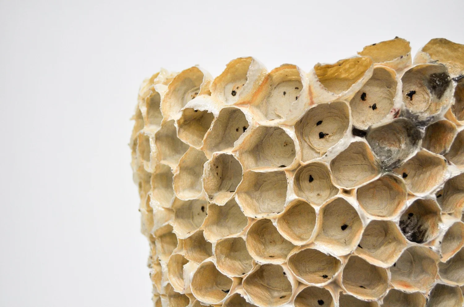 DARBY LEWIS CERAMICS