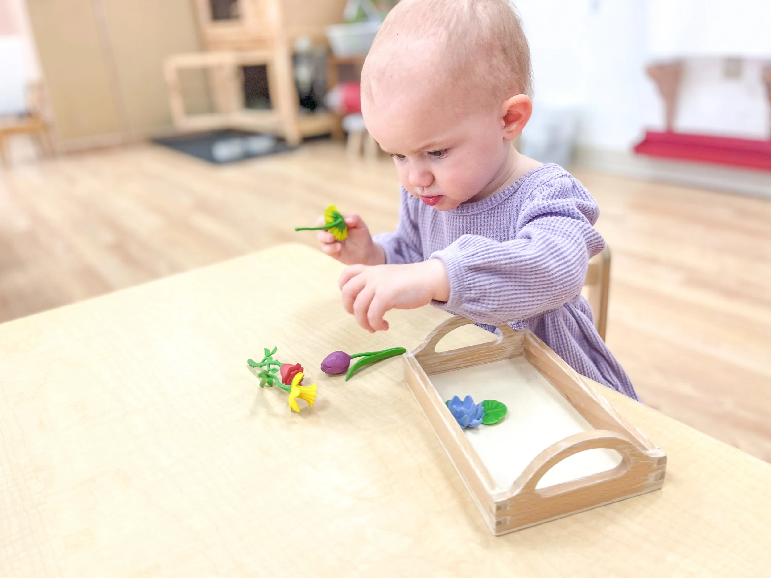 Mountain View Montessori