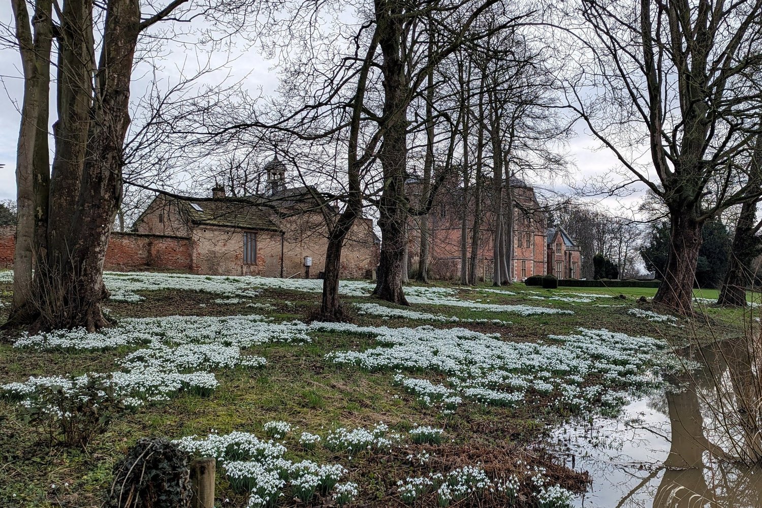Snowdrops at Kiplin Hall — Durham Pointers