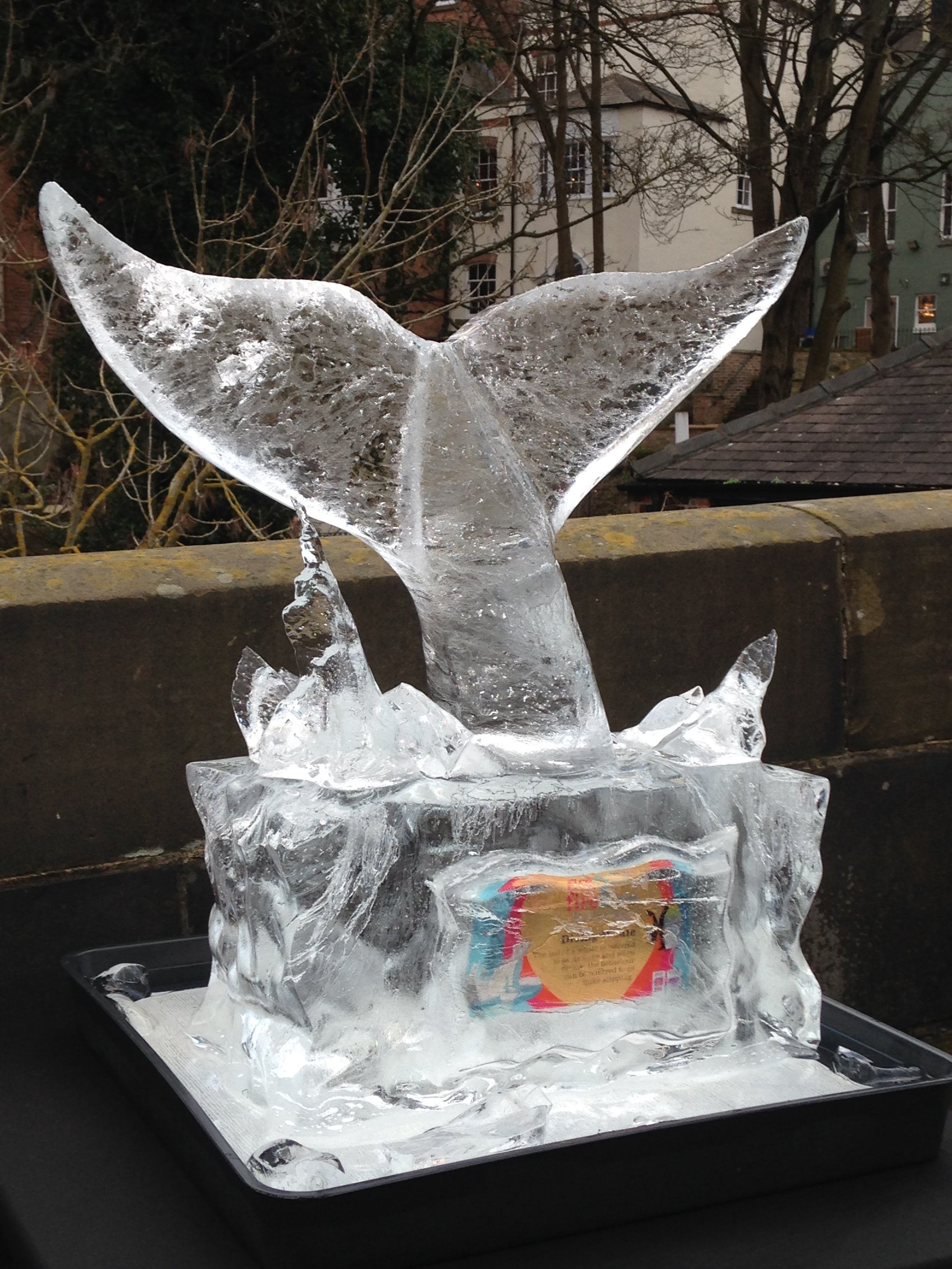 What’s Happening in Durham in Jan/Feb 2026? — Durham Pointers