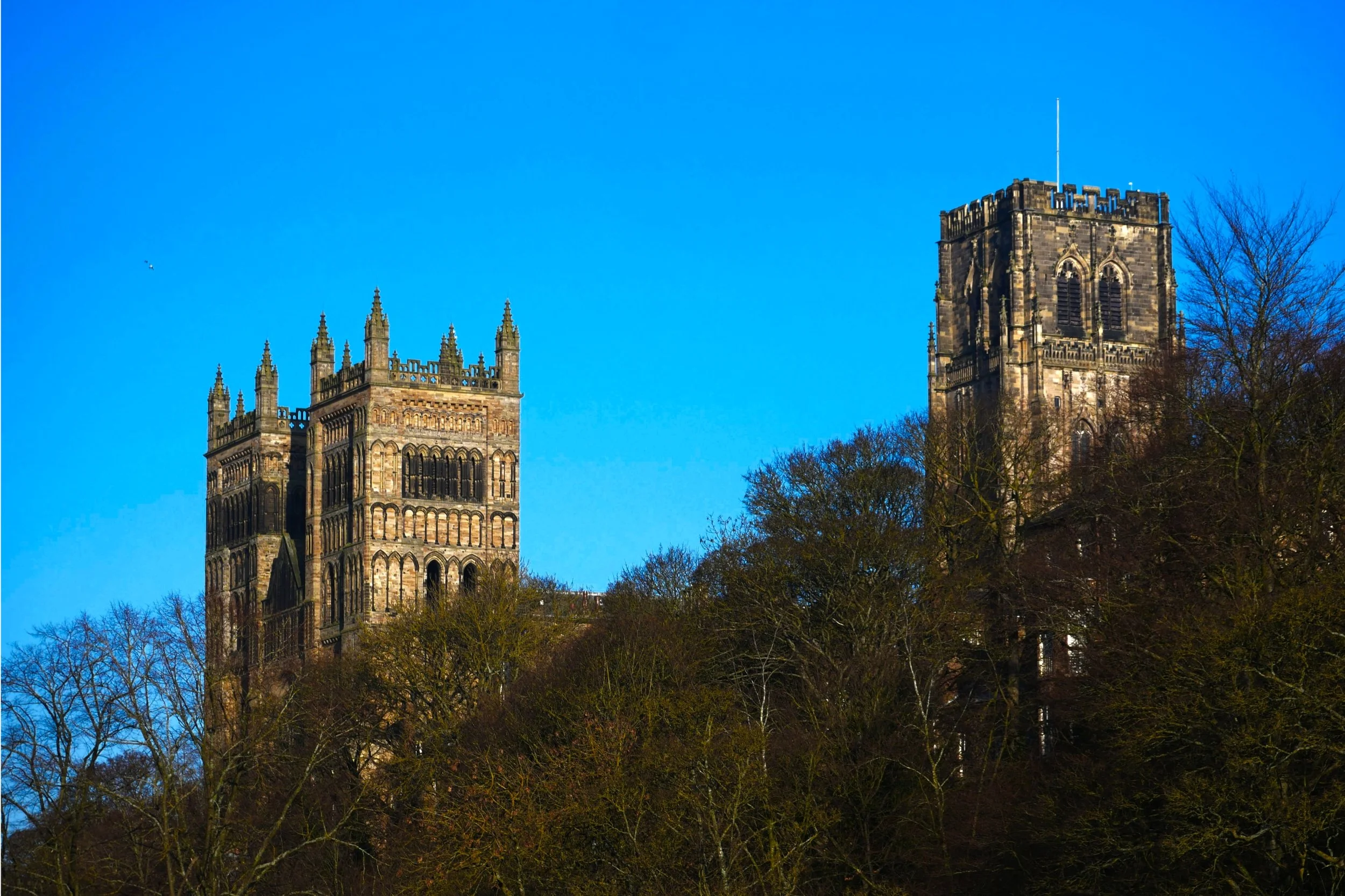 Durham Pointers