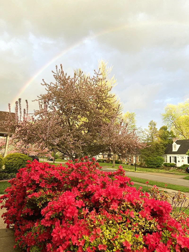 City Info — City of Strathmoor Village