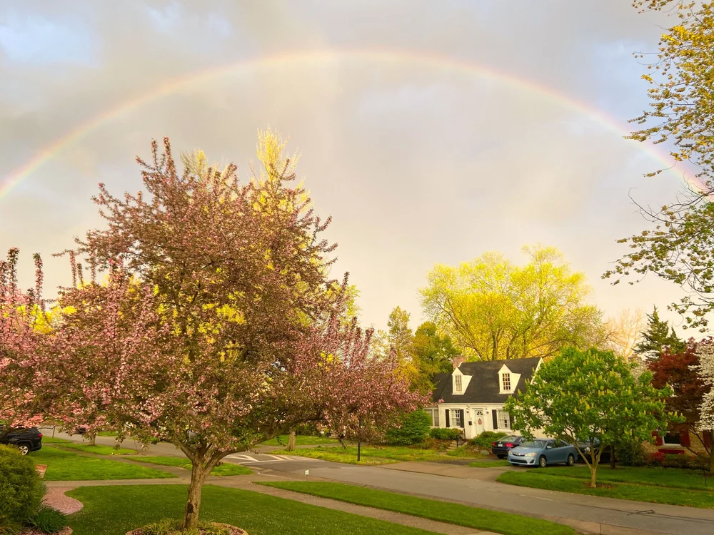 City Info — City of Strathmoor Village
