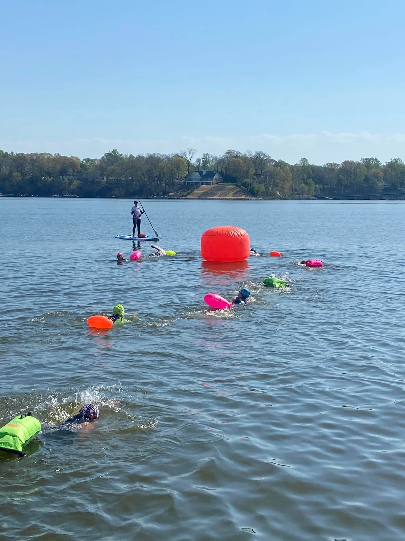 Maryland Swim Lessons + Coaching