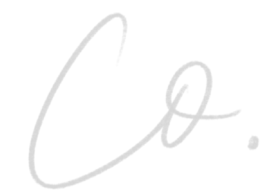 Monnette Co Photo | Best Detroit Michigan Wedding Photographer