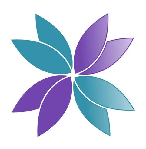 Cape Comic Con — Cape Events