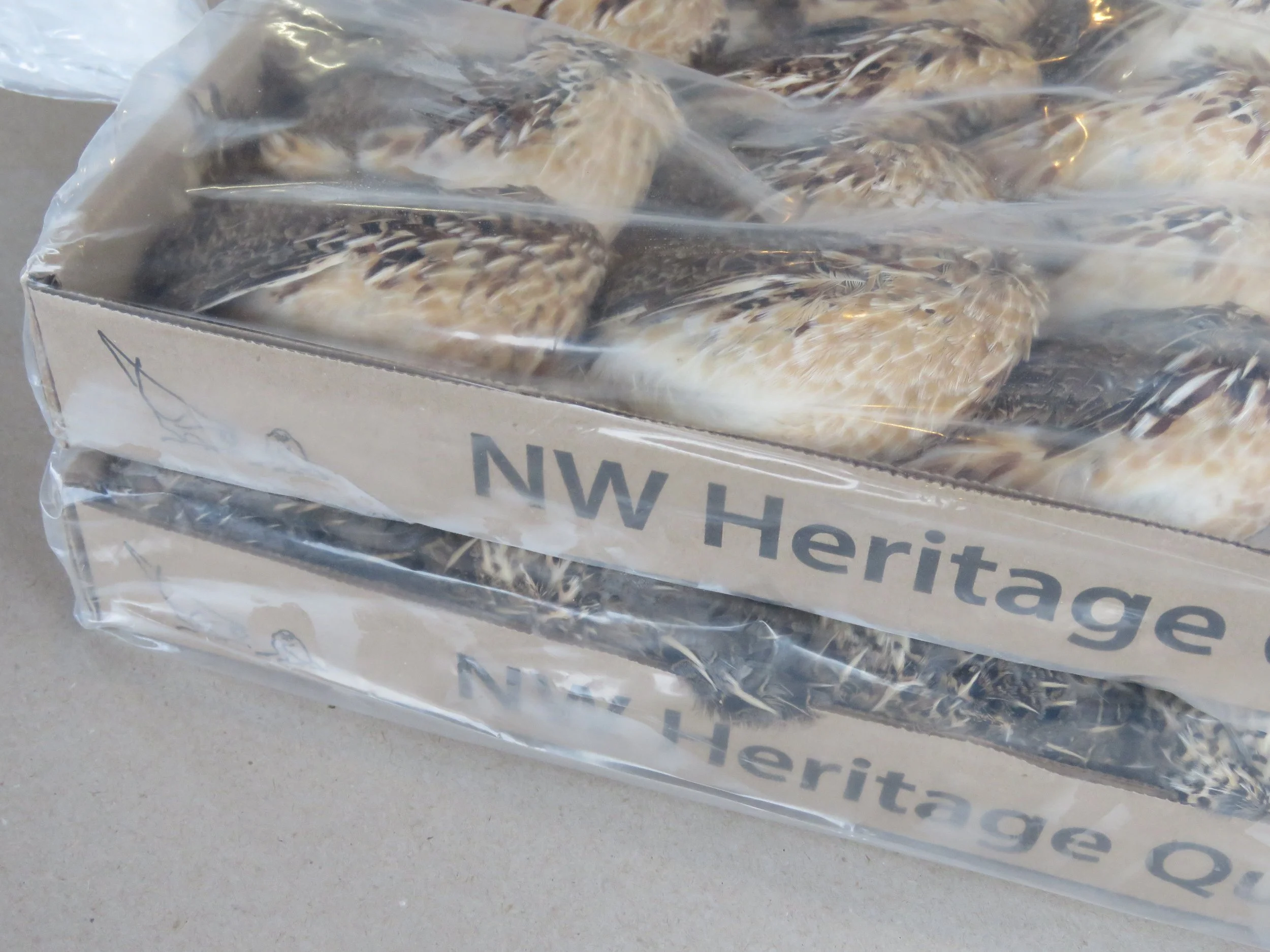 Store 1 — Northwest Heritage Quail