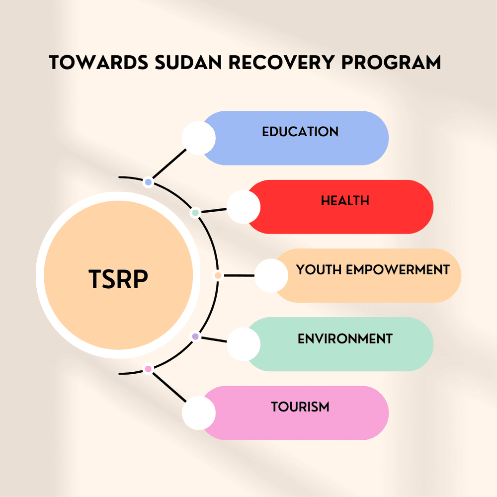 Services — Sudanese Diaspora Network