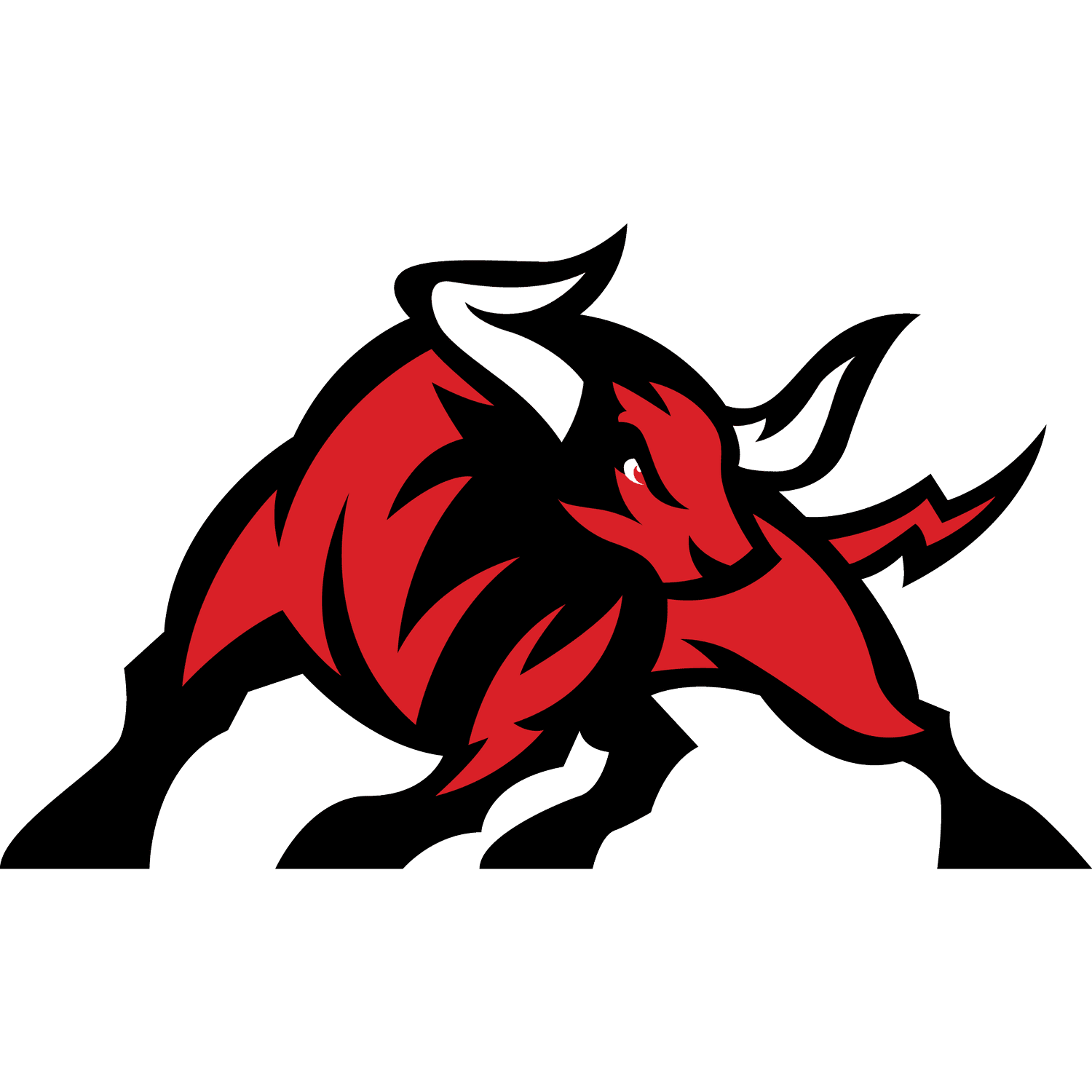 Omaha's Bull Market Collective