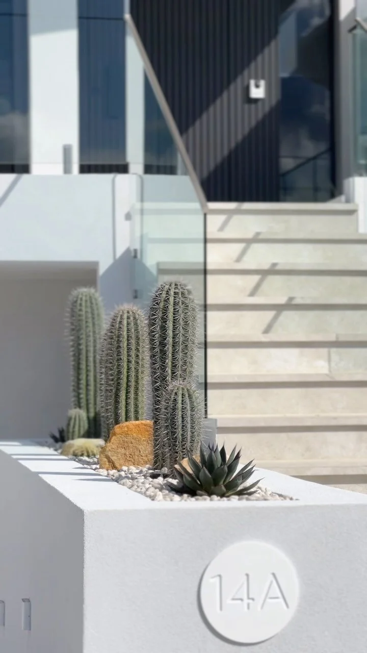 SCALE-TASTROPHE! 5 WAYS TO REMOVE SCALE AND SAVE THE DAY — Cactus Vision