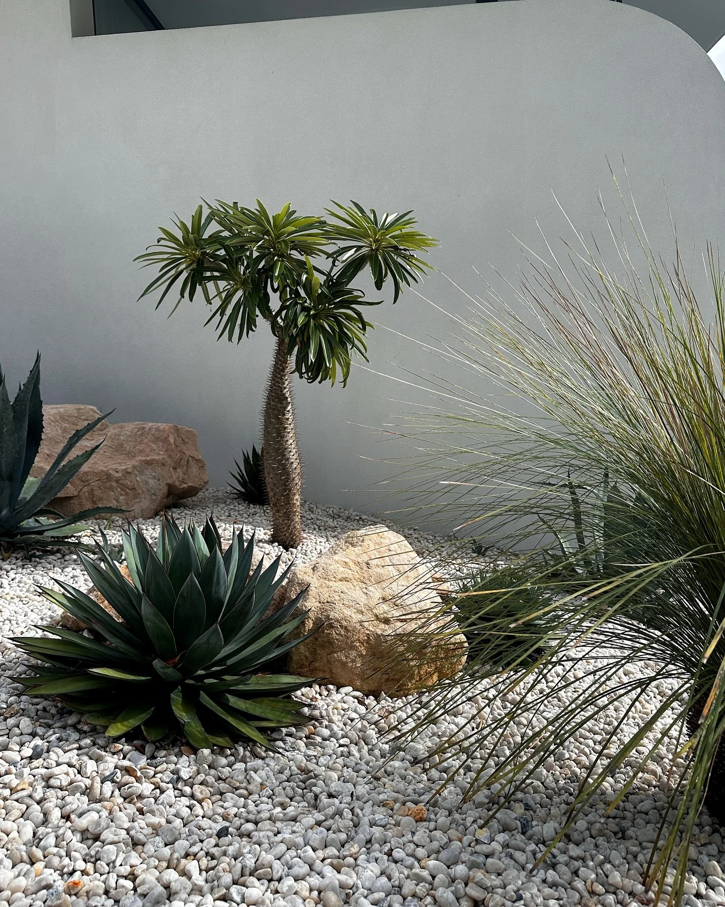 Contact Us — Cactus Vision