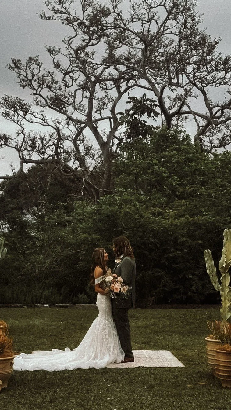 SCALE-TASTROPHE! 5 WAYS TO REMOVE SCALE AND SAVE THE DAY — Cactus Vision