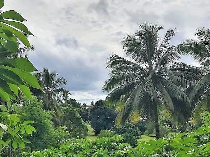 General 2 — Cook Islands Real Estate