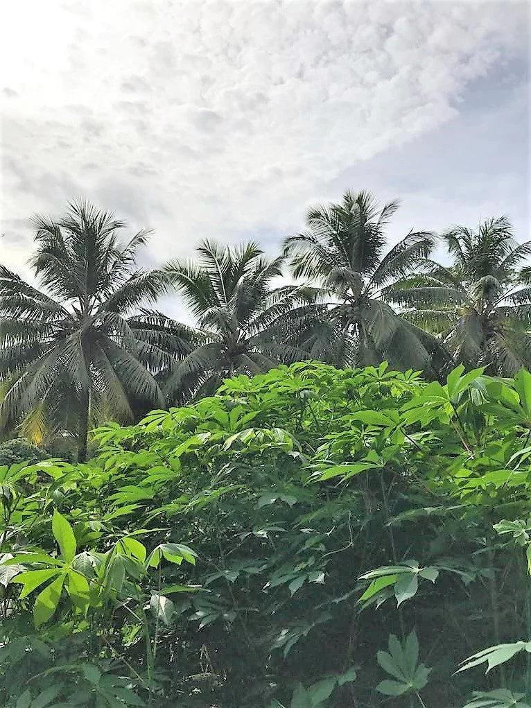 Enua 87A3B Tuoro — Cook Islands Real Estate