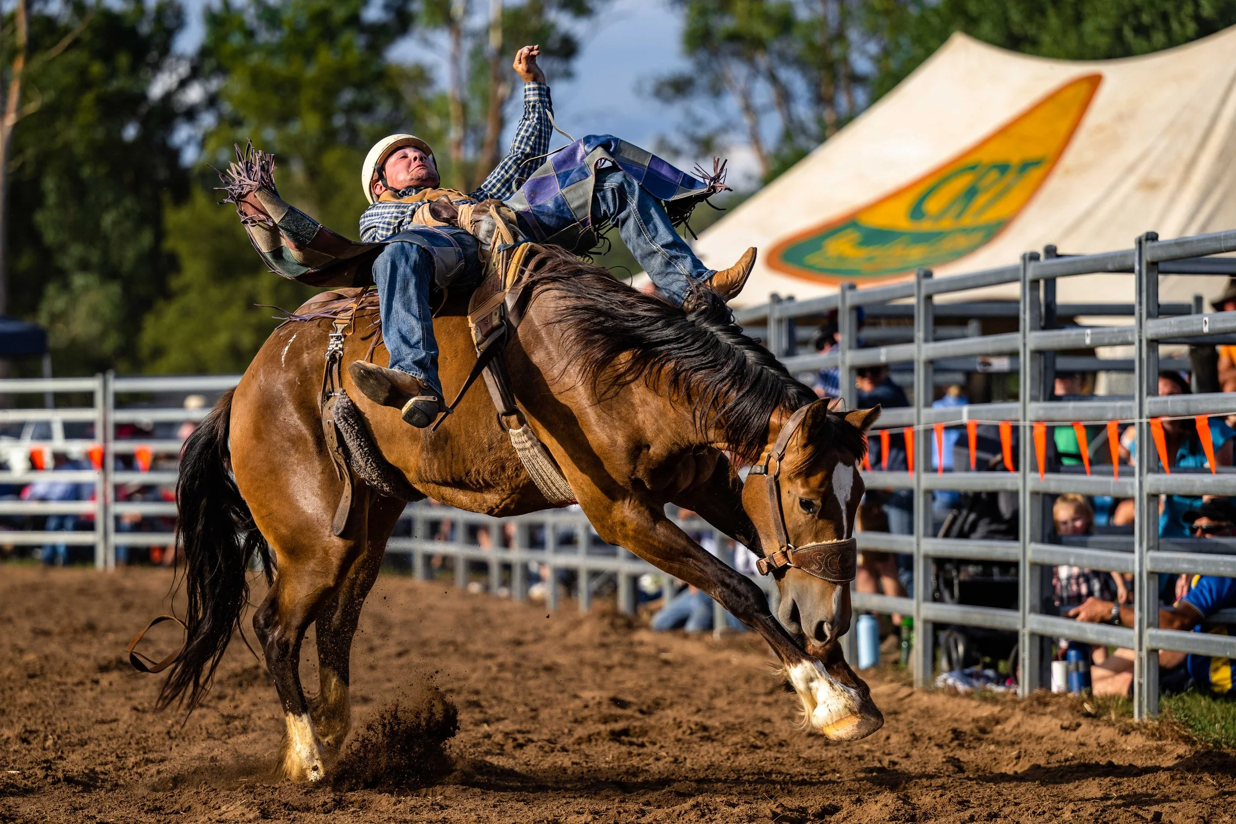 Lindsay Taylor Photography