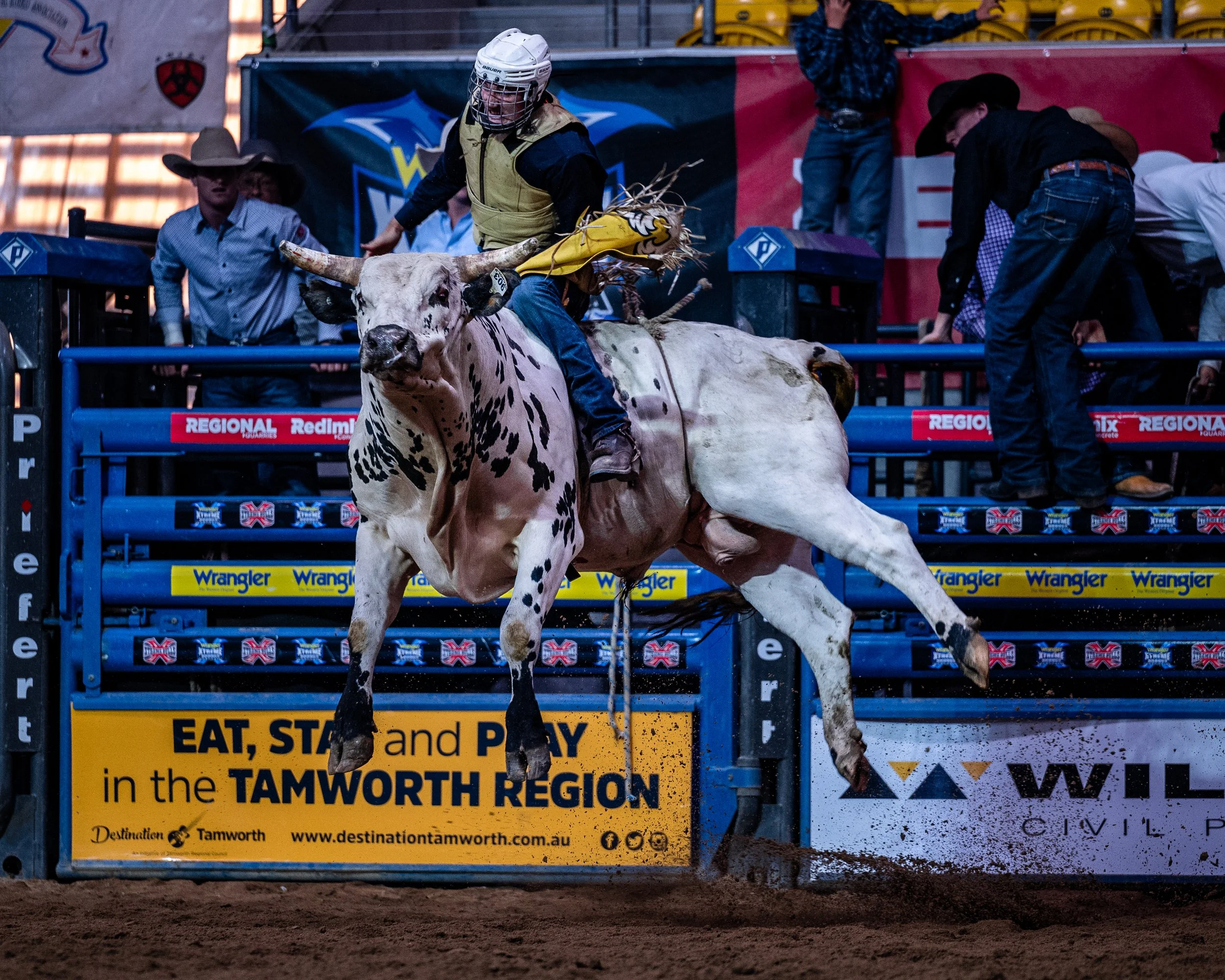 Galleries — Lindsay Taylor Photography