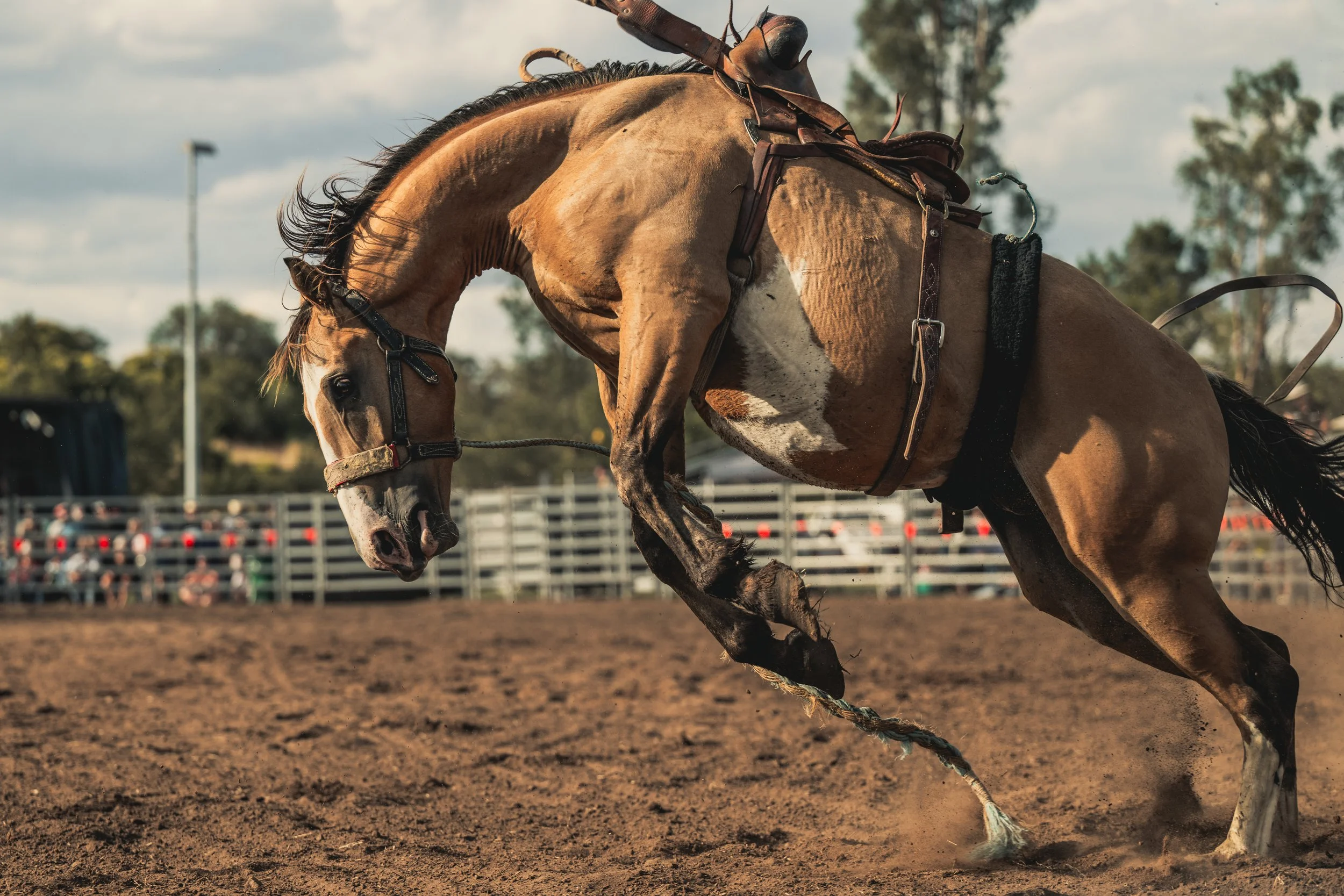 Galleries — Lindsay Taylor Photography