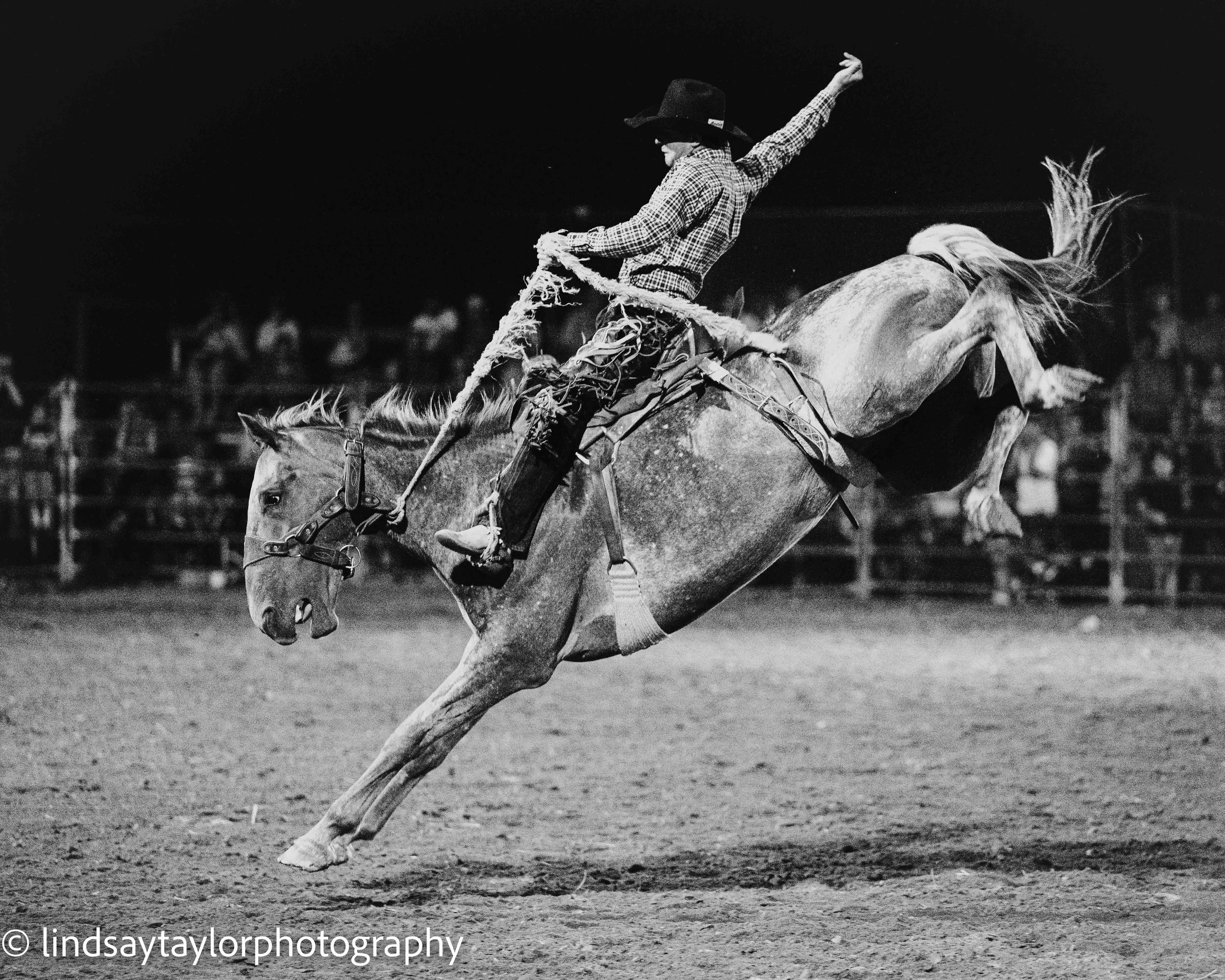 Galleries — Lindsay Taylor Photography