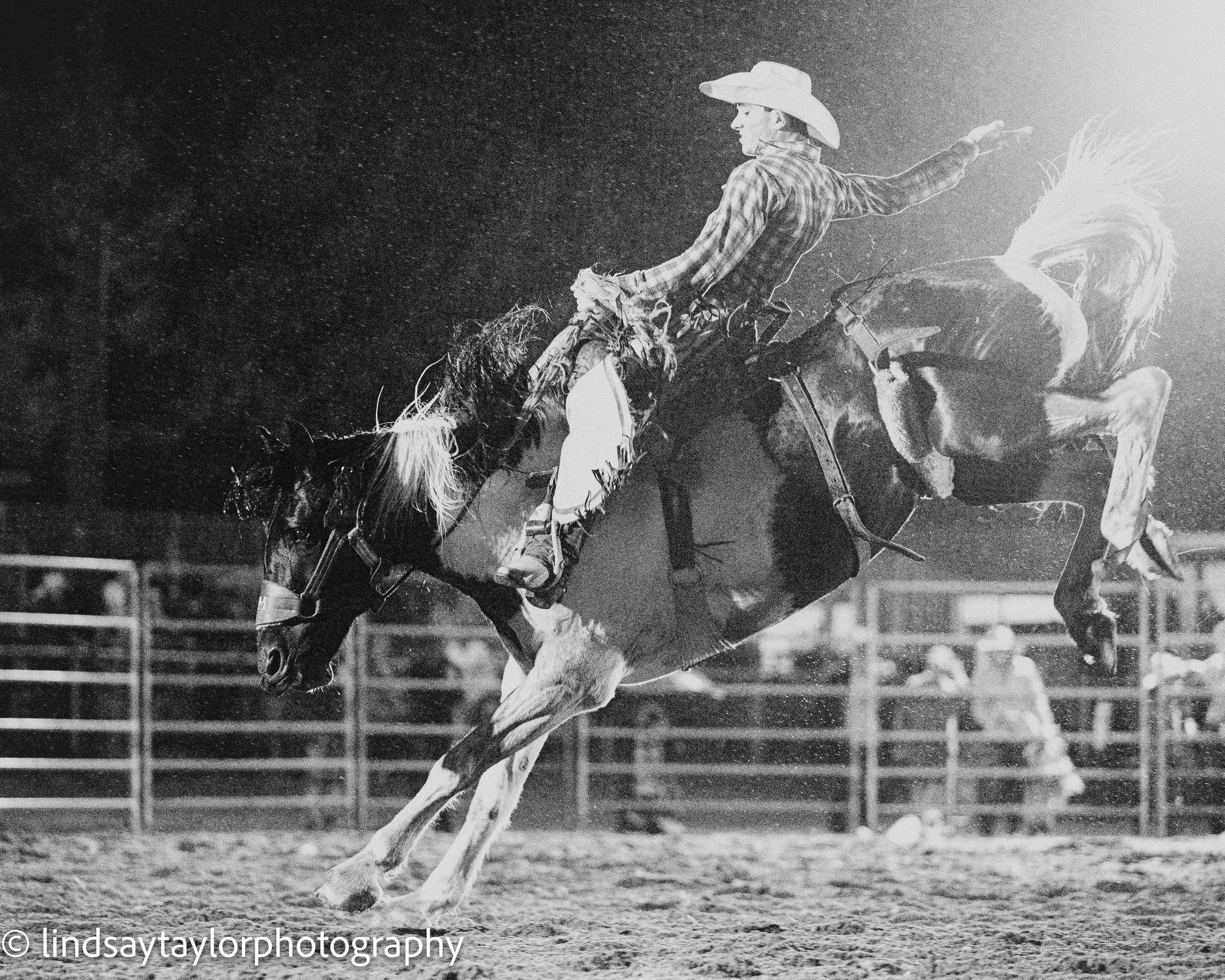 Galleries — Lindsay Taylor Photography