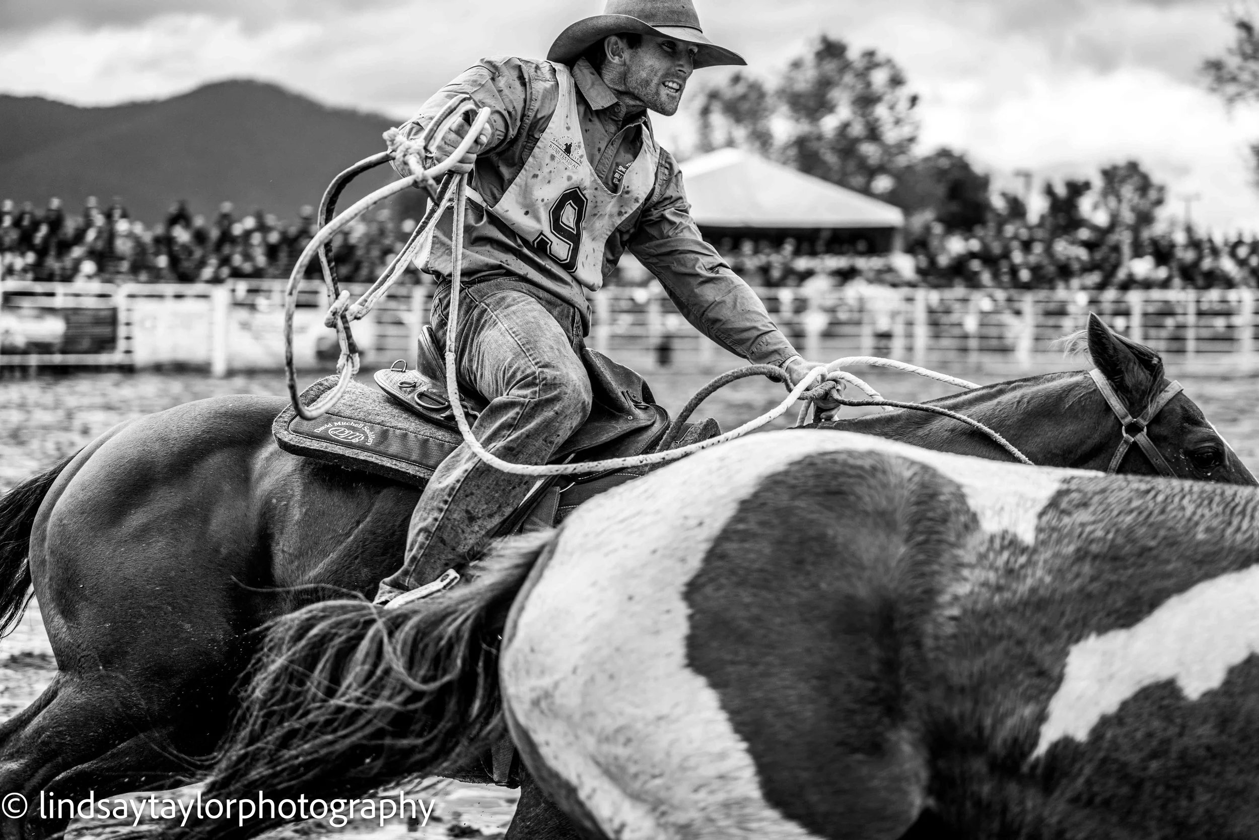 Galleries — Lindsay Taylor Photography