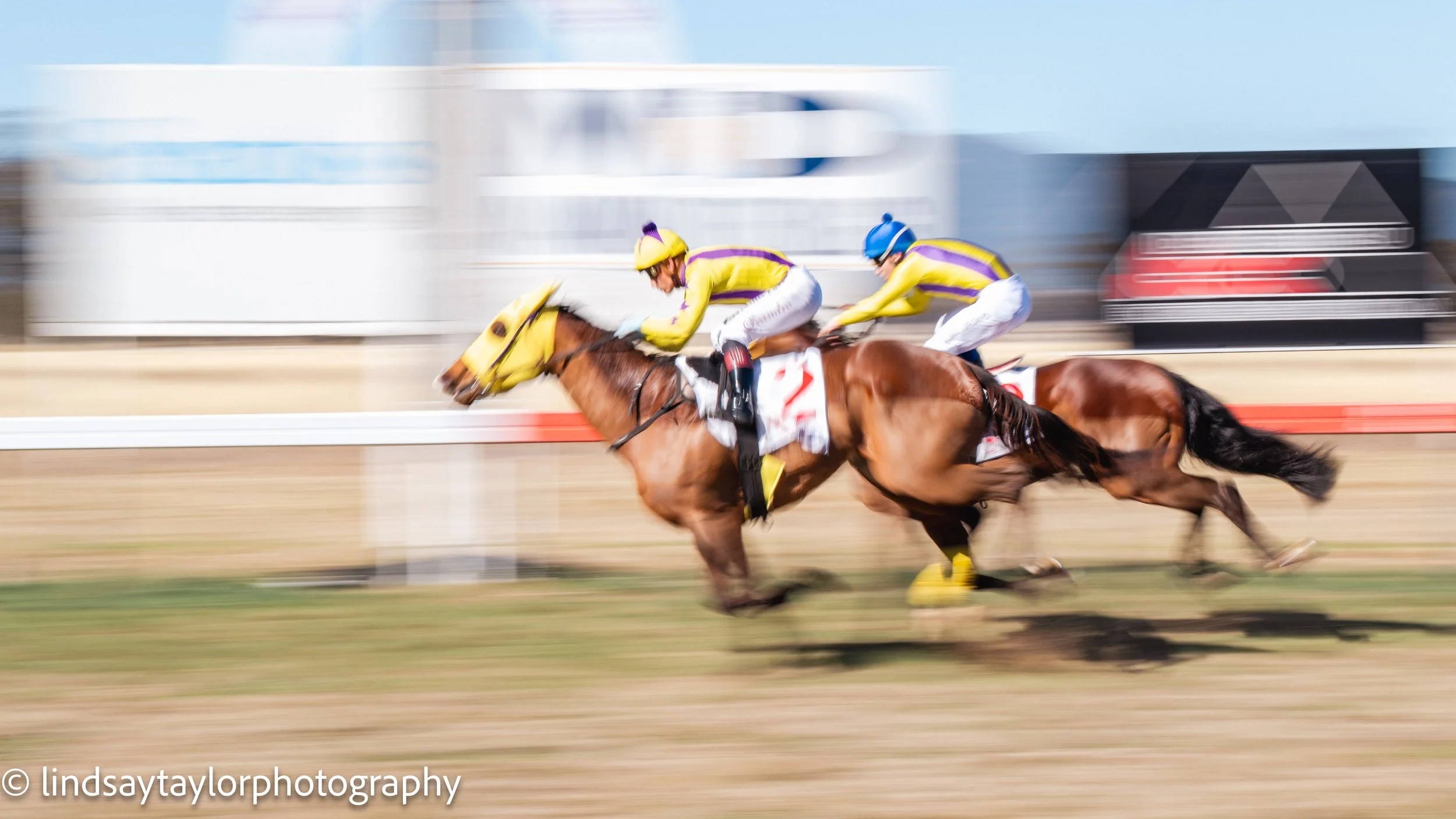 Galleries — Lindsay Taylor Photography