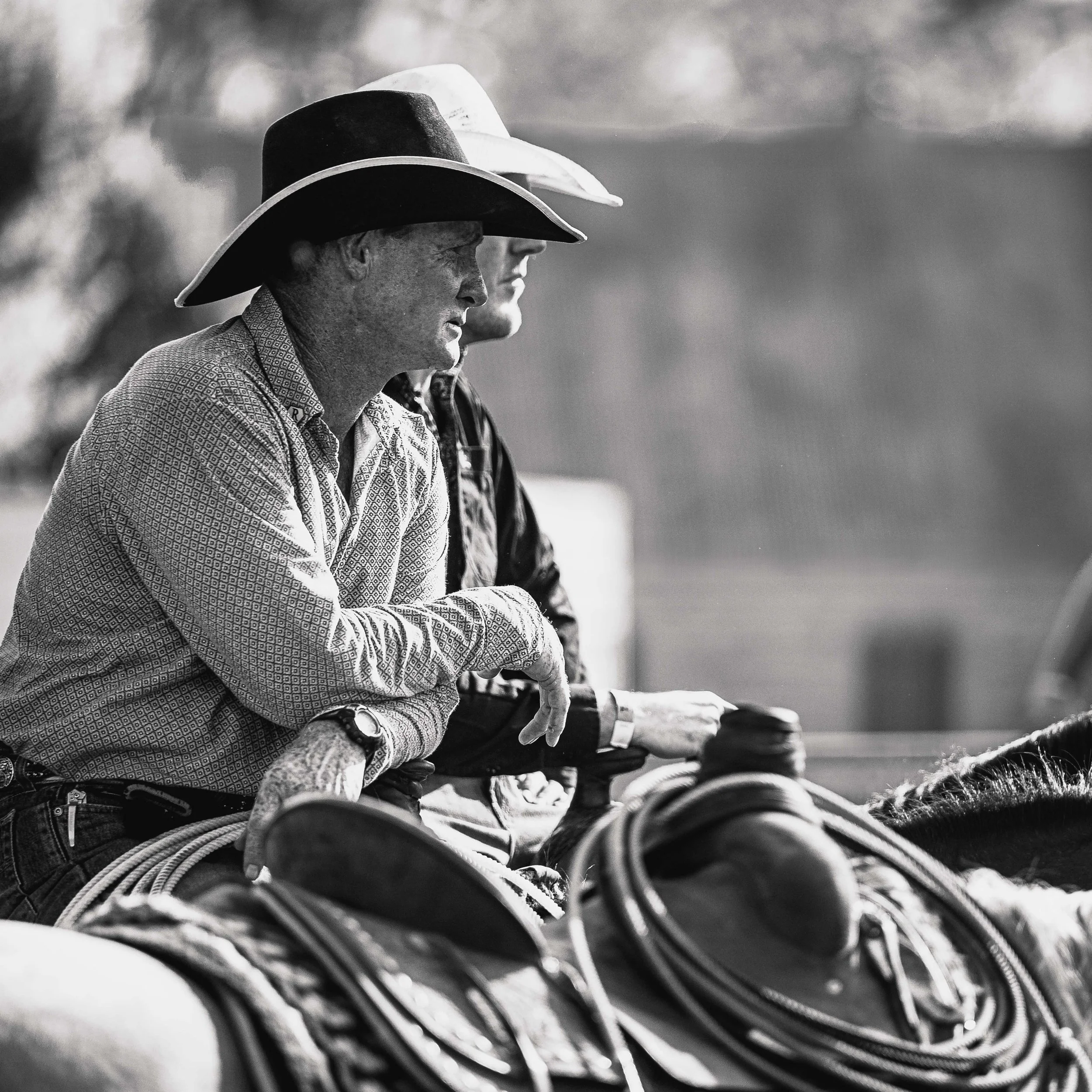 Lindsay Taylor Photography