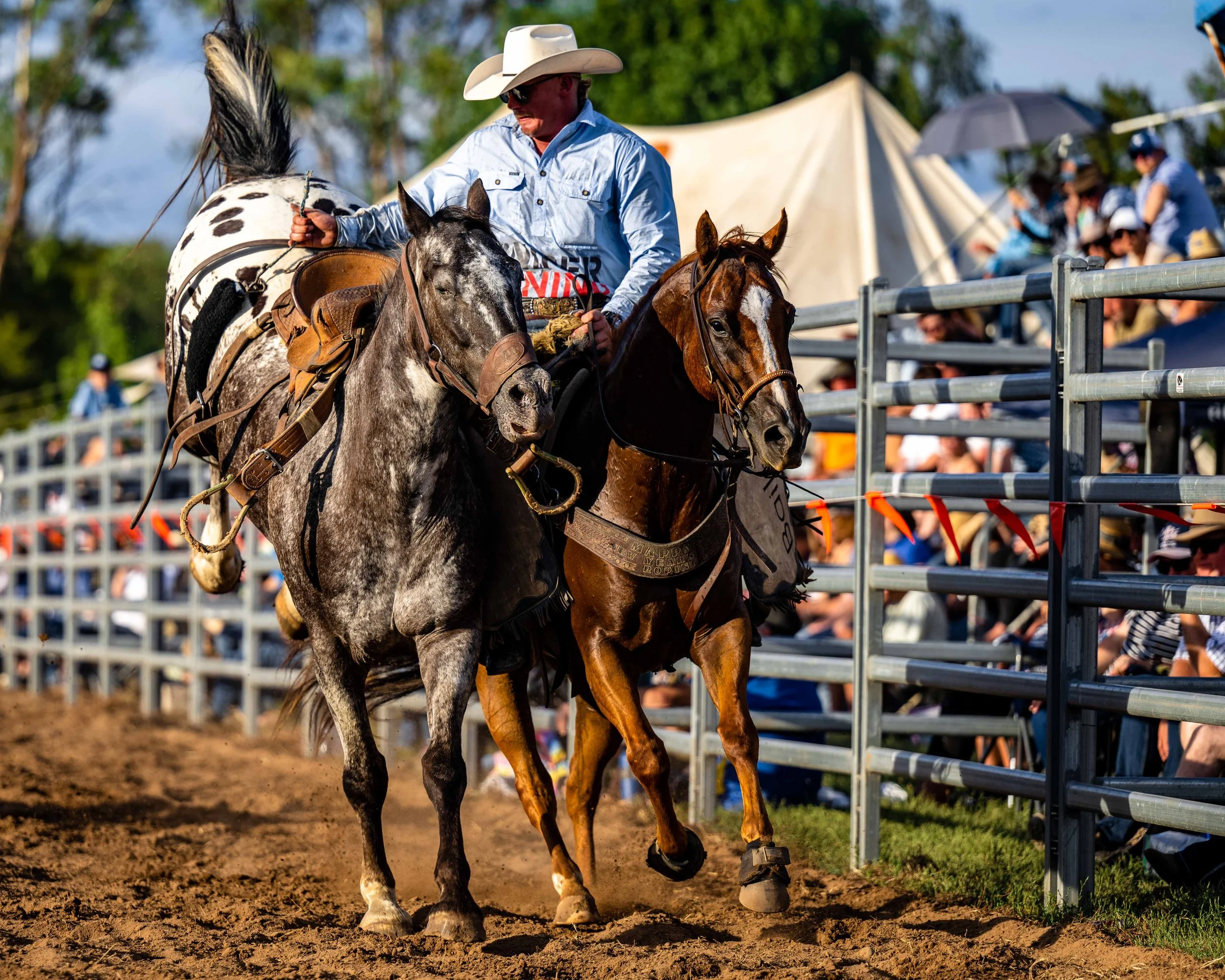 Lindsay Taylor Photography