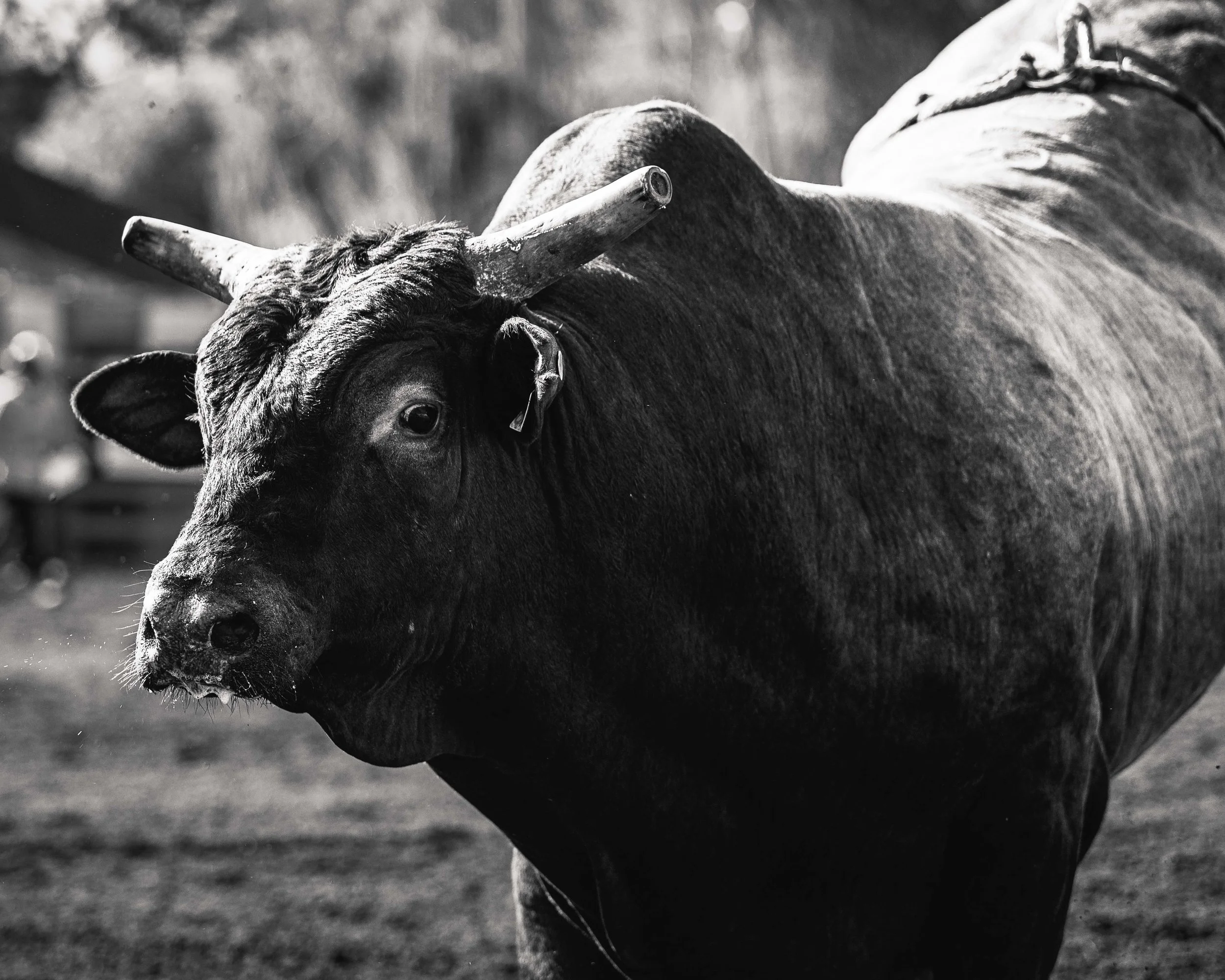 Lindsay Taylor Photography