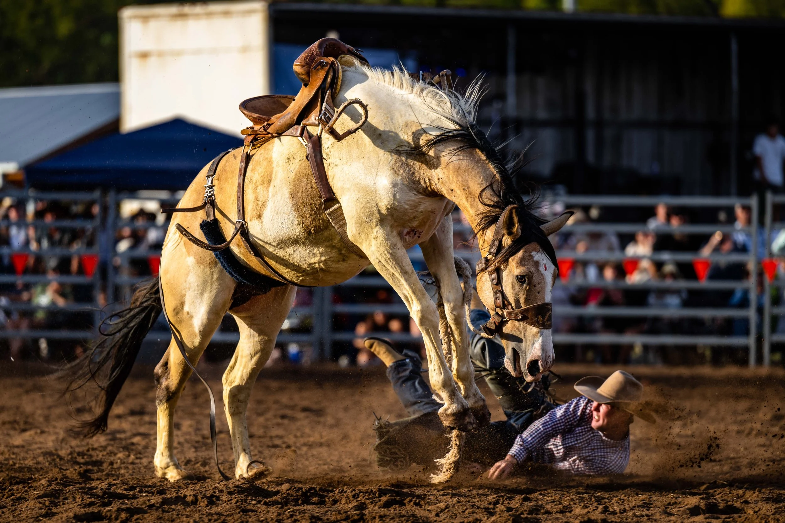 Lindsay Taylor Photography