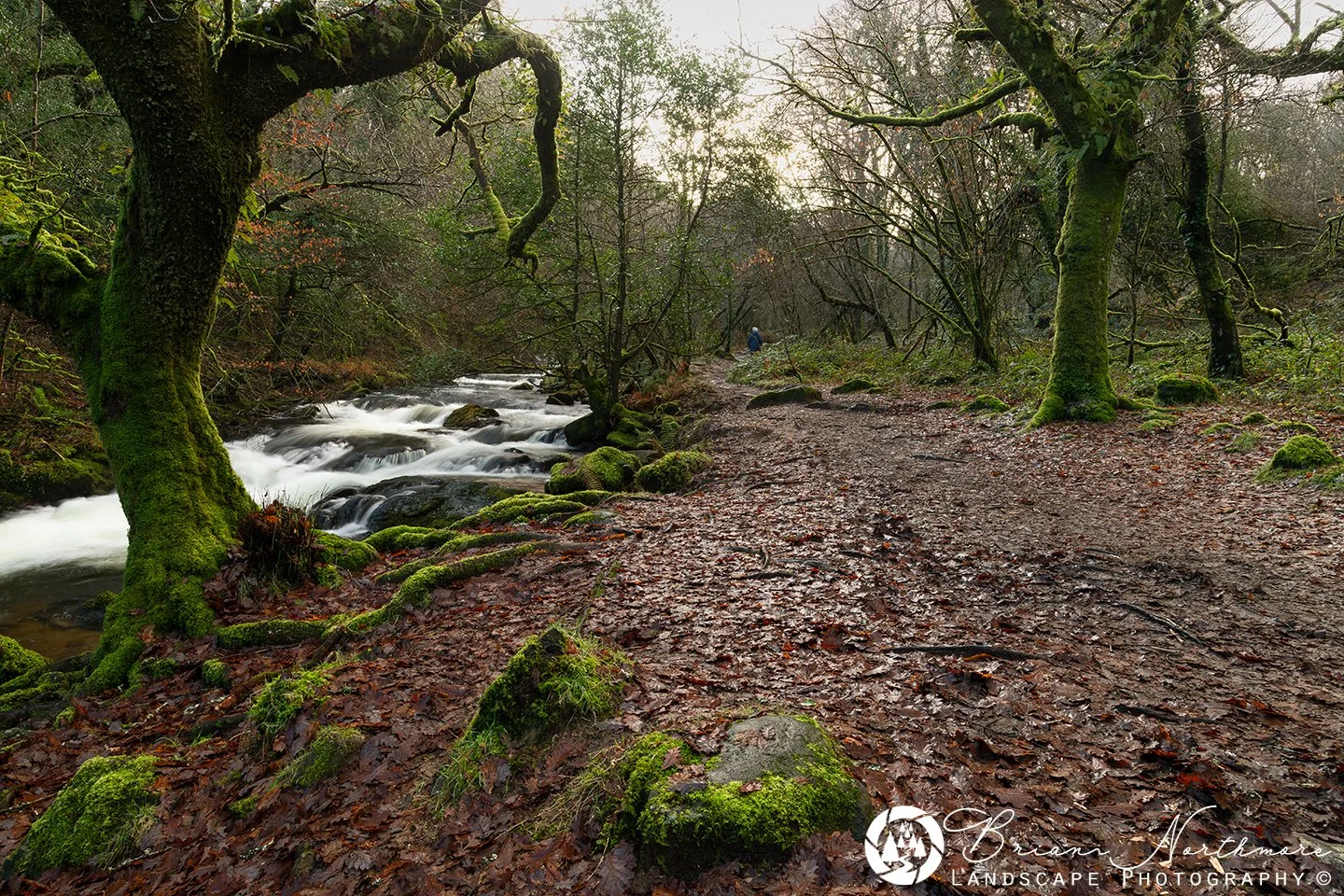 Mastering Composition “The Art Of Subtraction In Photography” — Brian ...