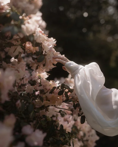 Lyra & Moth - Cornwall Wedding & Elopement Photographer and videographers