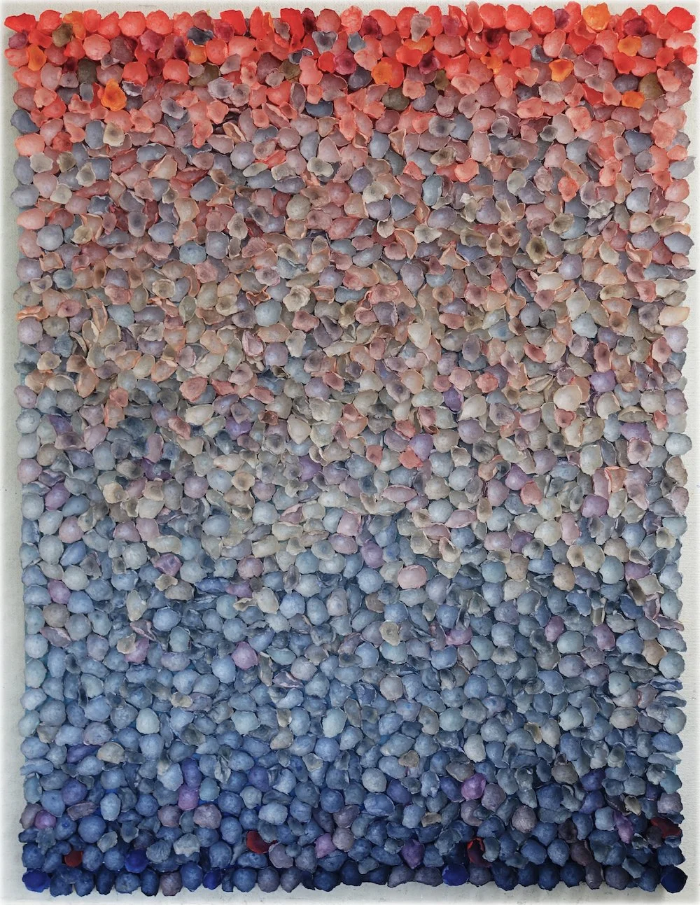 Gallery — Priscilla Robinson Studios