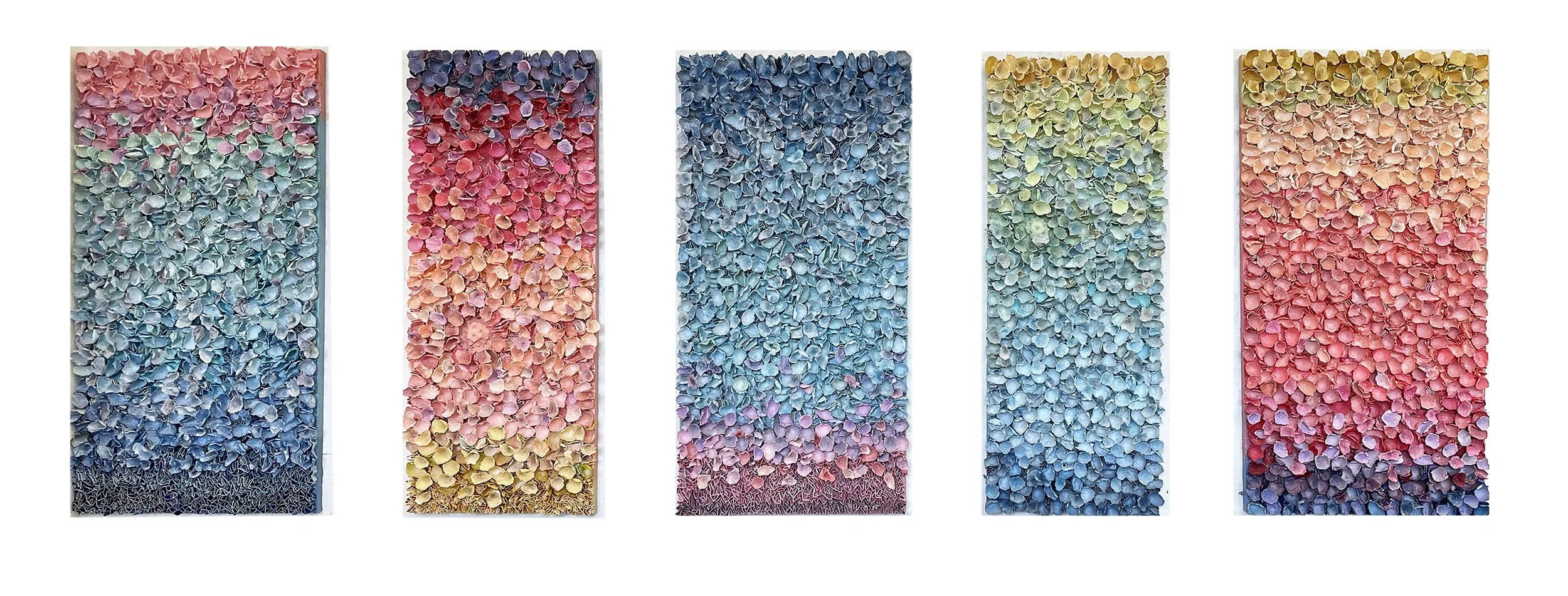 Gallery — Priscilla Robinson Studios