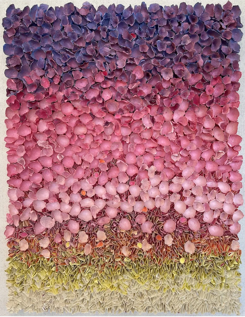 Gallery — Priscilla Robinson Studios