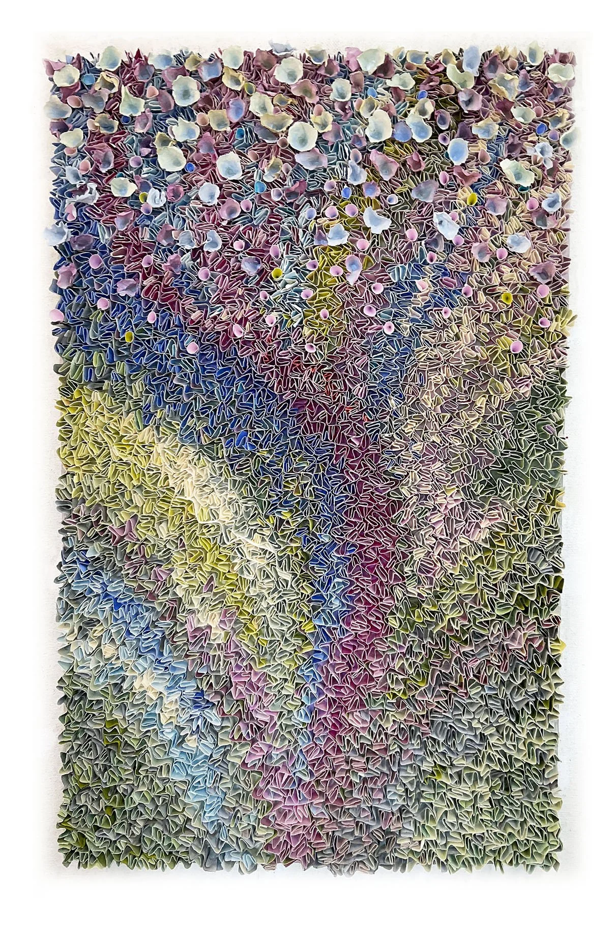 Gallery — Priscilla Robinson Studios