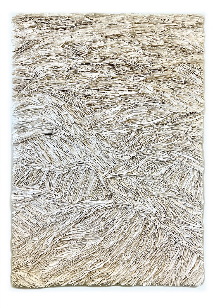 Gallery — Priscilla Robinson Studios