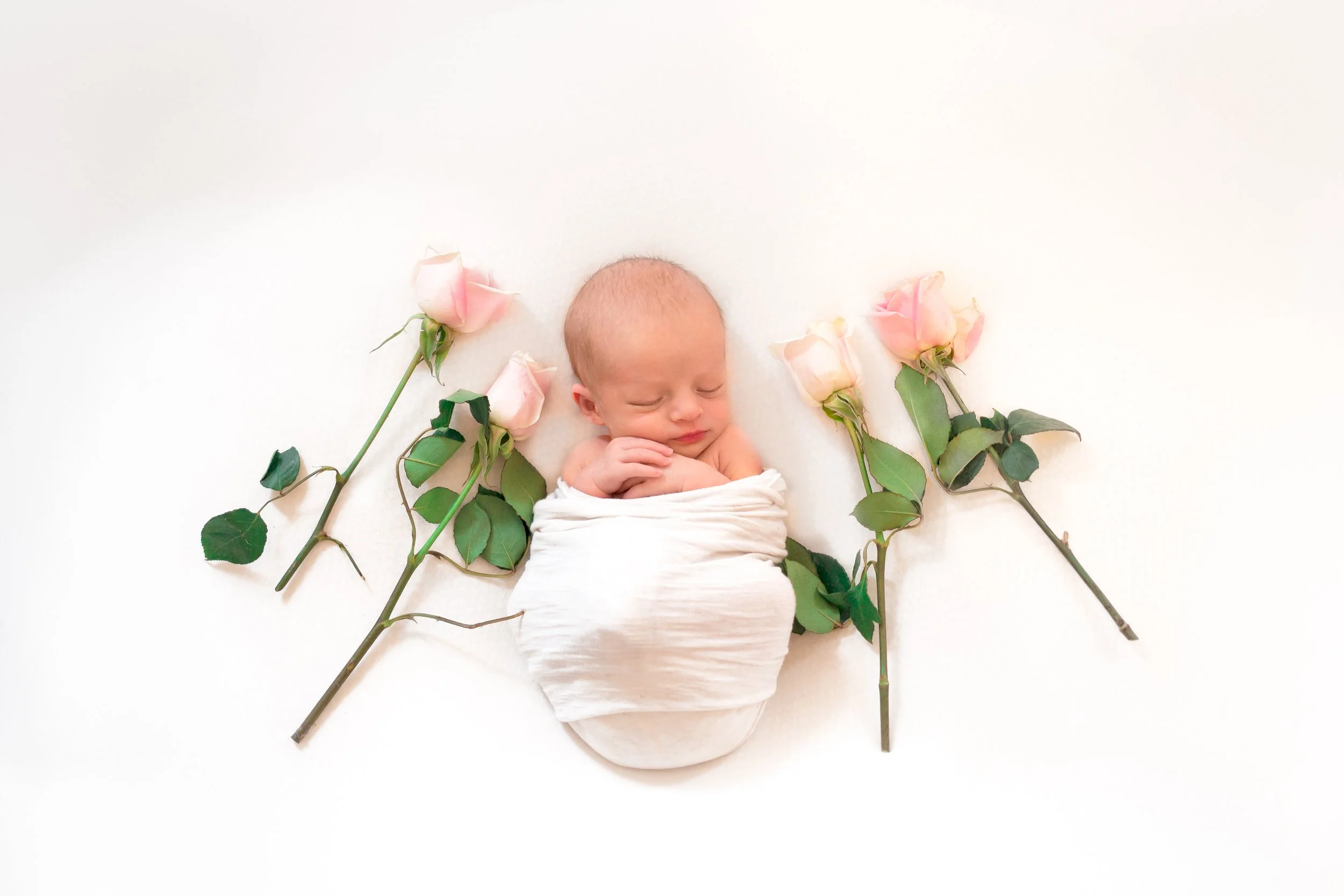Mastering Prop Selection for Your Newborn's Photo Session - Jessica ...
