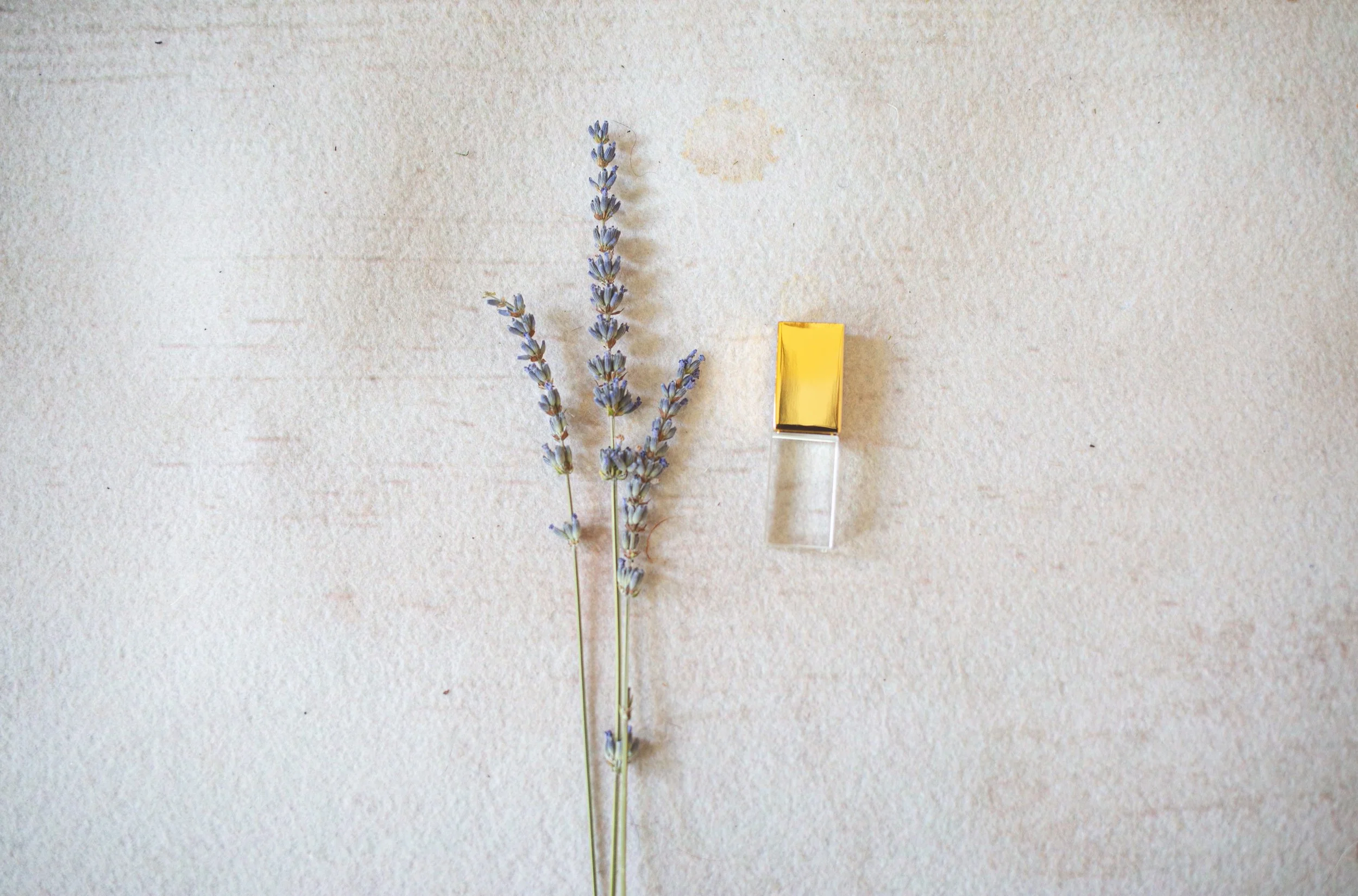 Newborn Portrait Pricing — Jessica Ryles Photography