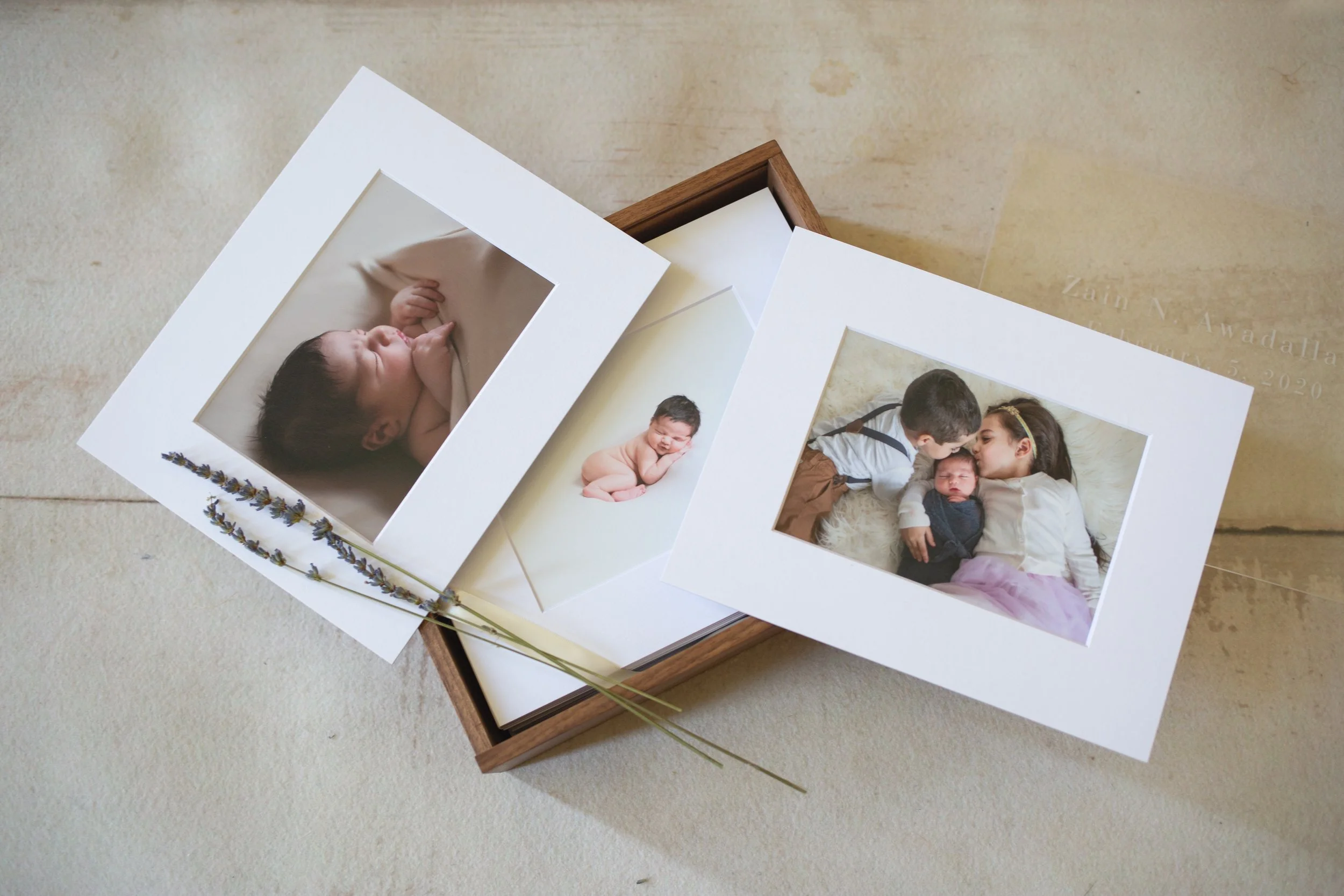 Newborn Portrait Pricing — Jessica Ryles Photography