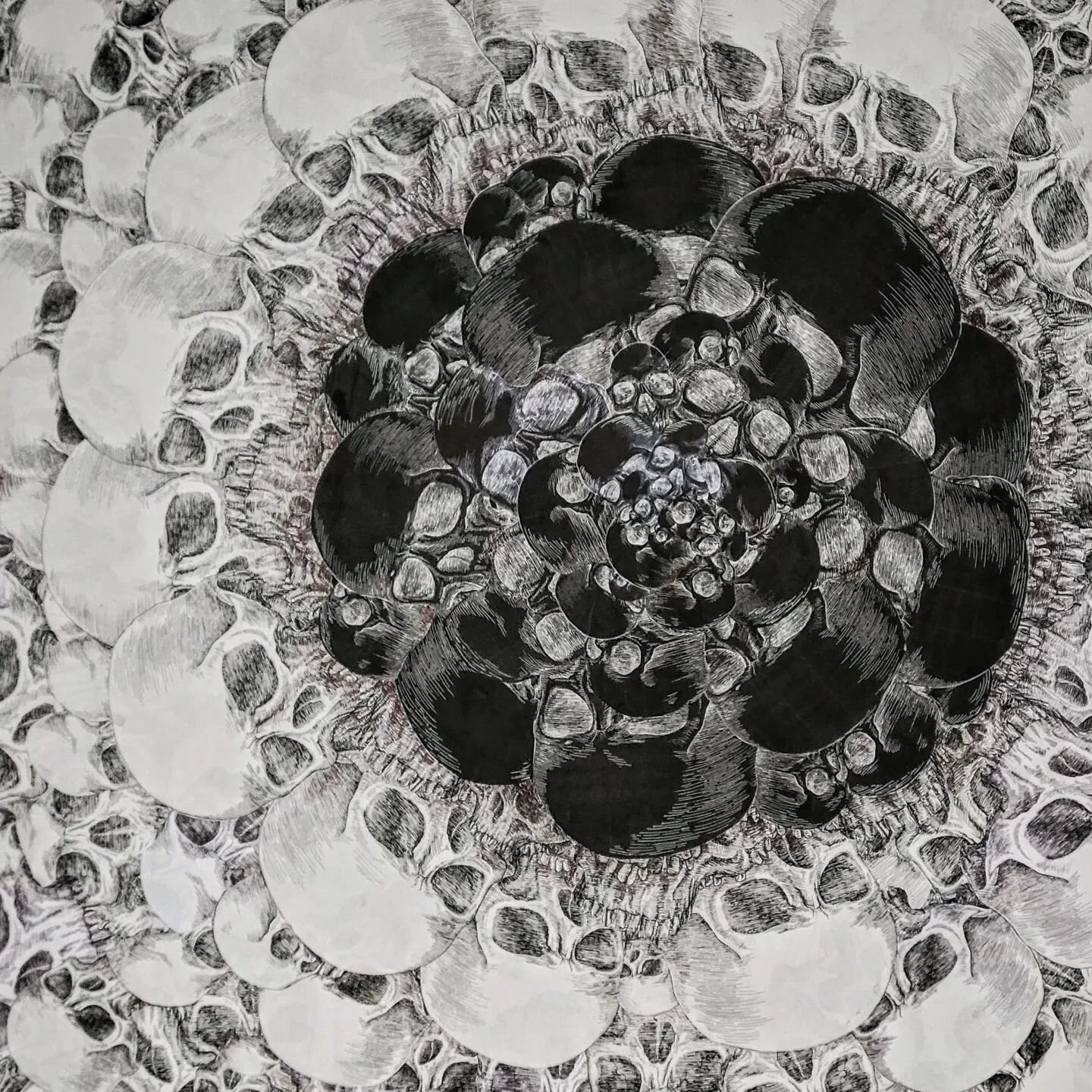 About — stevehaske