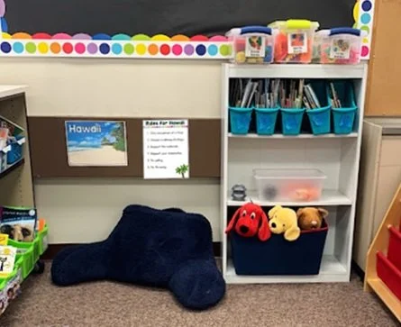 Self-Regulation Spaces — CLASSROOM ENVIRONMENT