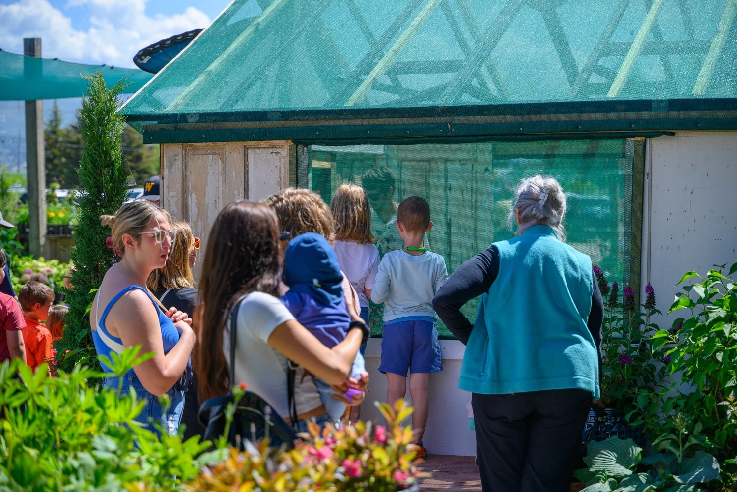 Plant Nursery Heber Utah | Country Gardens & Nursery